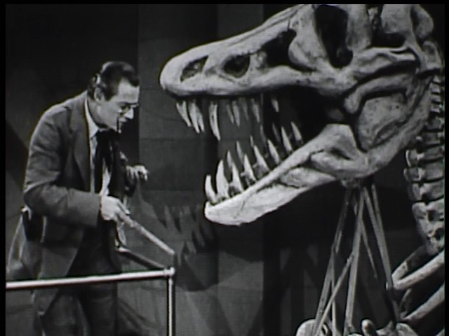 Adam’s Rib (1923) A Silent Film Review – Movies Silently