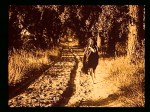 Snow White (1916) A Silent Film Review – Movies Silently