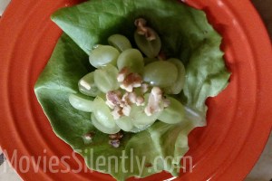 Cooking with the (Silent) Stars: The Wallace Reid Divinity Salad ...