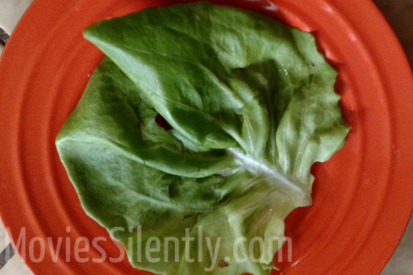 Cooking with the (Silent) Stars: The Wallace Reid Divinity Salad ...