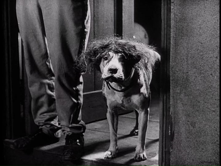 Dr. Pyckle and Mr. Pryde (1925) A Silent Film Review – Movies Silently